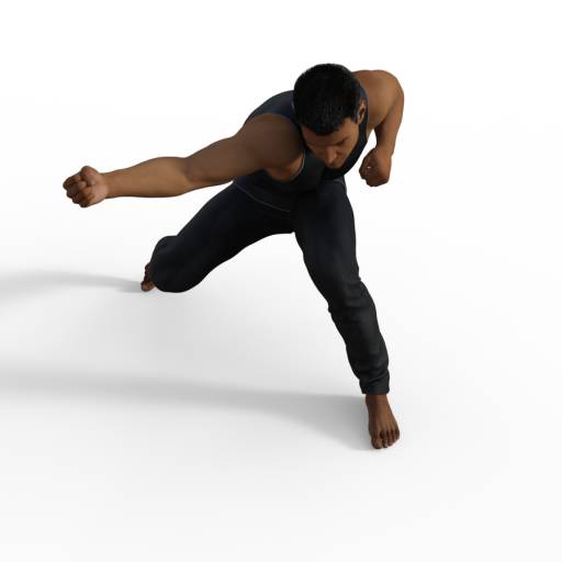 Crouching Fighting Pose